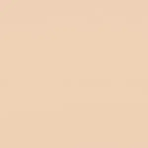 ANASTASIA BEVERLY HILLS Magic Touch Concealer - Neutral