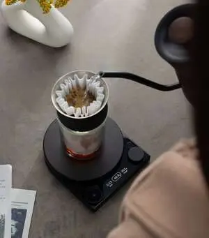 FELLOW Tally Precision Scale Pro Studio Edition