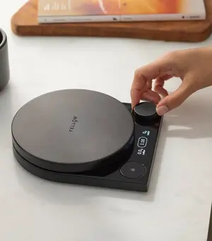 FELLOW Tally Precision Scale Pro Studio Edition
