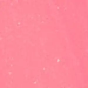 CHANTECAILLE Lip Chic