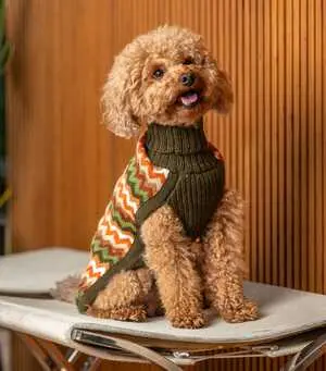 ALQO WASI Alpaca-blend Chevron Dog Sweater