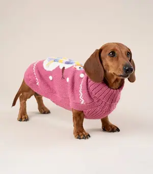 ALQO WASI Alpaca-blend Dog Sweater