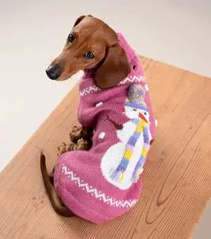ALQO WASI Alpaca-blend Dog Sweater