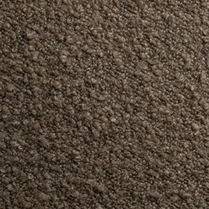 DE LE CUONA Wool-blend Attenborough Buckle Cushion