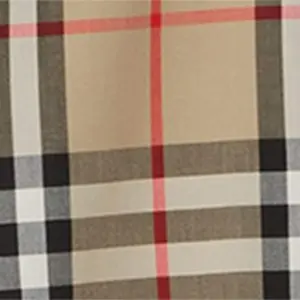 Burberry Cotton Check Shirt