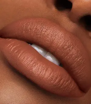 Estée Lauder Pure Color Crème Lipstick