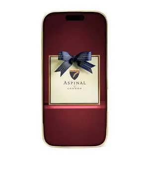 ASPINAL OF LONDON Leather Iphone 16 Pro Case