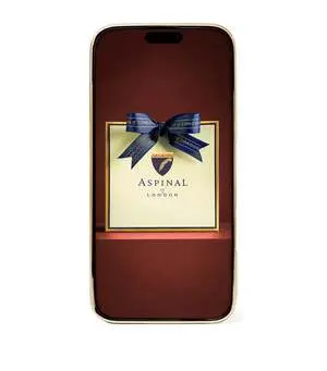 ASPINAL OF LONDON Leather Iphone 16 Pro Max Case