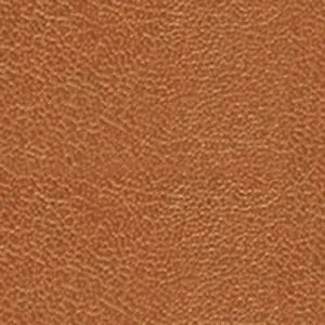 ASPINAL OF LONDON Leather Iphone 16 Pro Max Case
