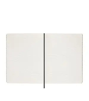 MOLESKINE Shine Collector's Notebook And Pen Set