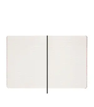 MOLESKINE Shine Collector's Notebook And Pen Set
