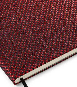 MOLESKINE Shine Collector's Notebook And Pen Set