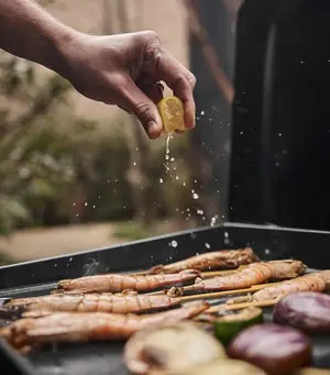 WEBER Slate Premium Griddle Bbq