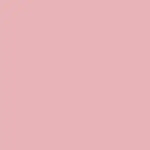 LANCOME Blush Subtil