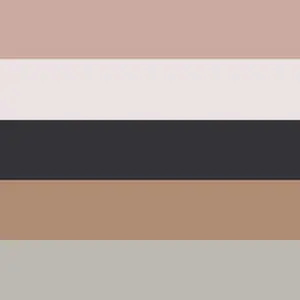 Dior Show 5 Couleurs Eyeshadow Palette - Black
