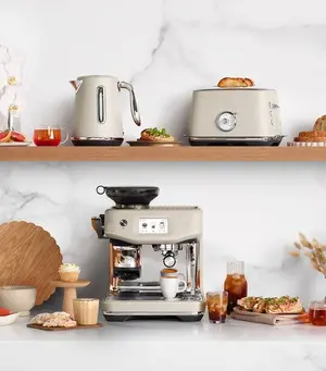 SAGE Toast Select Luxe Toaster