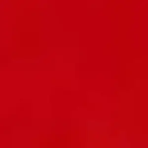 FLABELUS Velvet Mary Jane Flats - Red