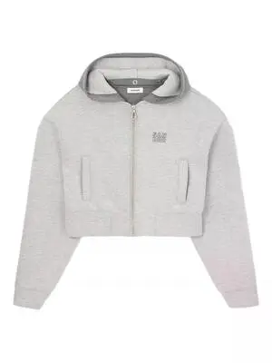Sandro Zip-up Hoodie