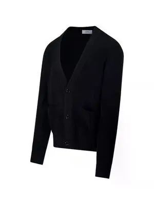 LARDINI Buttoned V-neck Cardigan