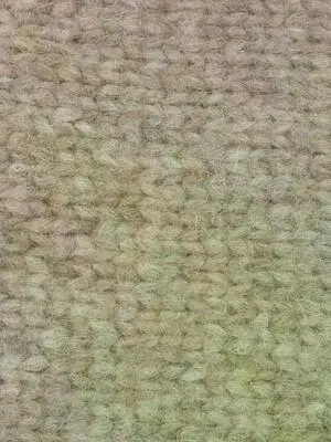 Loewe Fringed Scarf