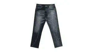 FREE REFILLS Cathedral Denim Pants
