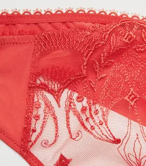 Maison Lejaby Poesie Tanga Briefs