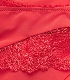 Maison Lejaby Poesie Briefs