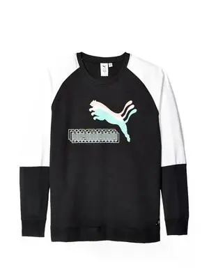 Puma Long Sleeve Sweatshirts Hoodies For Men