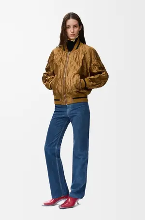 Loewe Bomber Jacket In Technical Fabric - Toffee