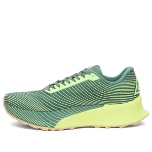 Nike Ultra Fly Trail 2 - Dutch Green/barely Vol/vegas Gold