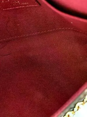 LOUIS VUITTON Felicie Pochette Monogram Canvas - Brown