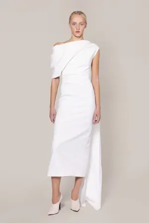Roksanda Trimmed Dresses