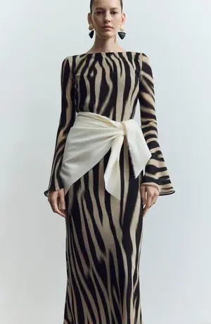 Mango Abstract Zebra Print Long Sleeve Dress