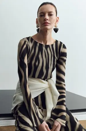 Mango Abstract Zebra Print Long Sleeve Dress