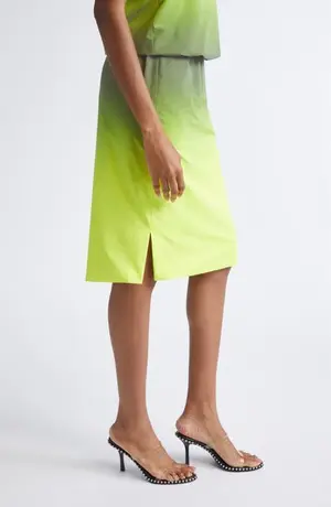 Alexander Wang Gradient Reflective Skirt