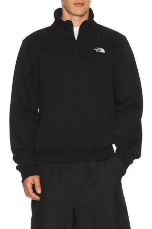 The North Face Evolution Simple Dome Regular 1/4 Zip
