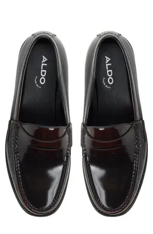 Aldo Ludovik Penny Loafer