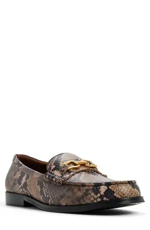 Aldo Edouard Bit Loafer - Brown Multi