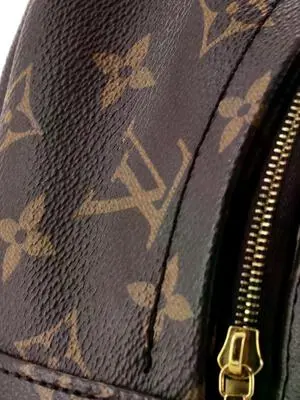 LOUIS VUITTON Palm Springs Monogram Canvas Mini Backpack