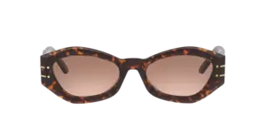 Dior Diorsignature B1u Sunglasses - Brown Gradient