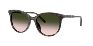 Dolce & Gabbana Sunglasses - Light Brown Gradient Green