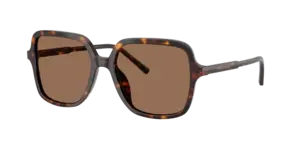 Dolce & Gabbana Sunglasses - Dark Brown
