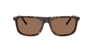 Dolce & Gabbana Sunglasses - Dark Brown