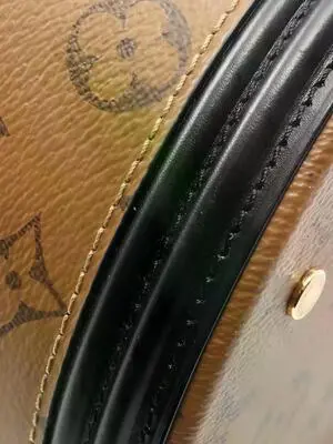 LOUIS VUITTON 2018 Cannes Monogram Reverse Handbag