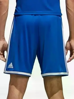 Adidas Regista 18 Stripe Track Shorts