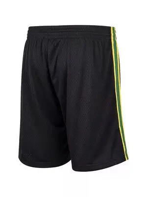 Mitchell & Ness Nba Swingman Striped Shorts