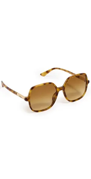 Chloé Judy Sunglasses - Havana-havana-brown