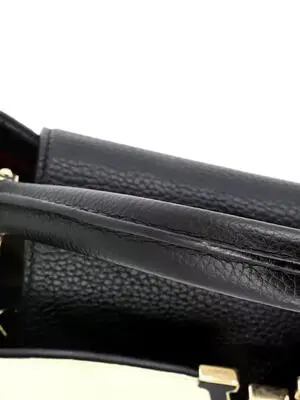 LOUIS VUITTON Capucines Mm Satchel