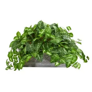 NEARLY NATURAL Nephthytis Artificial Plant In Stone Planter - Green
