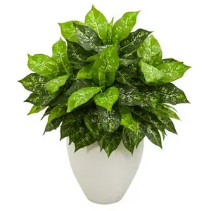 NEARLY NATURAL Dieffenbachia Artificial Plant In White Planter - Green